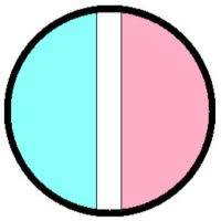Canadian Trans Activists – Trans Ottawa